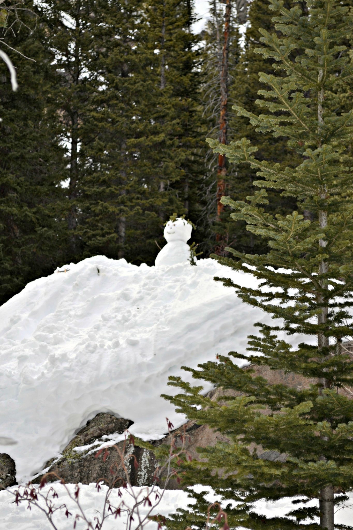 Secrets of Rocky Mountain National Park in Winter - Explorer Momma