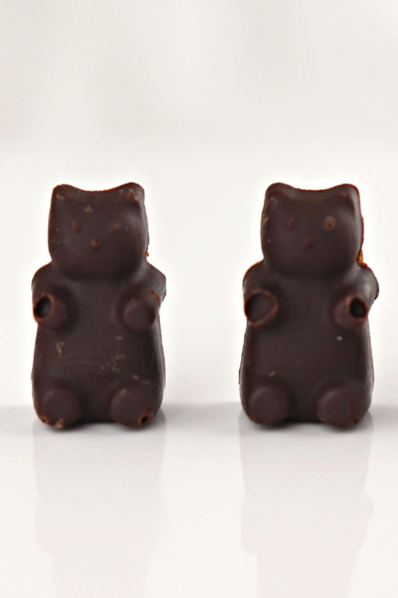Easy 3-Ingredient Keto Chocolate Bears - Explorer Momma